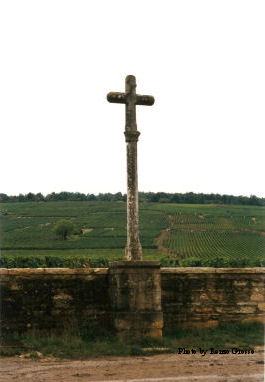 Romanée-Conti: symbol of tradition and nobility - Nobility and ...