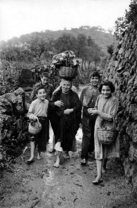 The Family Is Vilified - Nobility and Analogous Traditional Elites